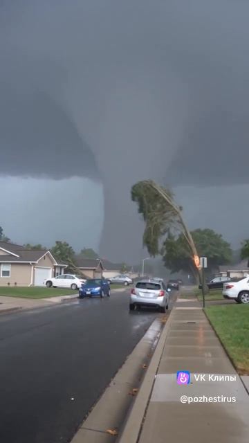 💪👍сила природы