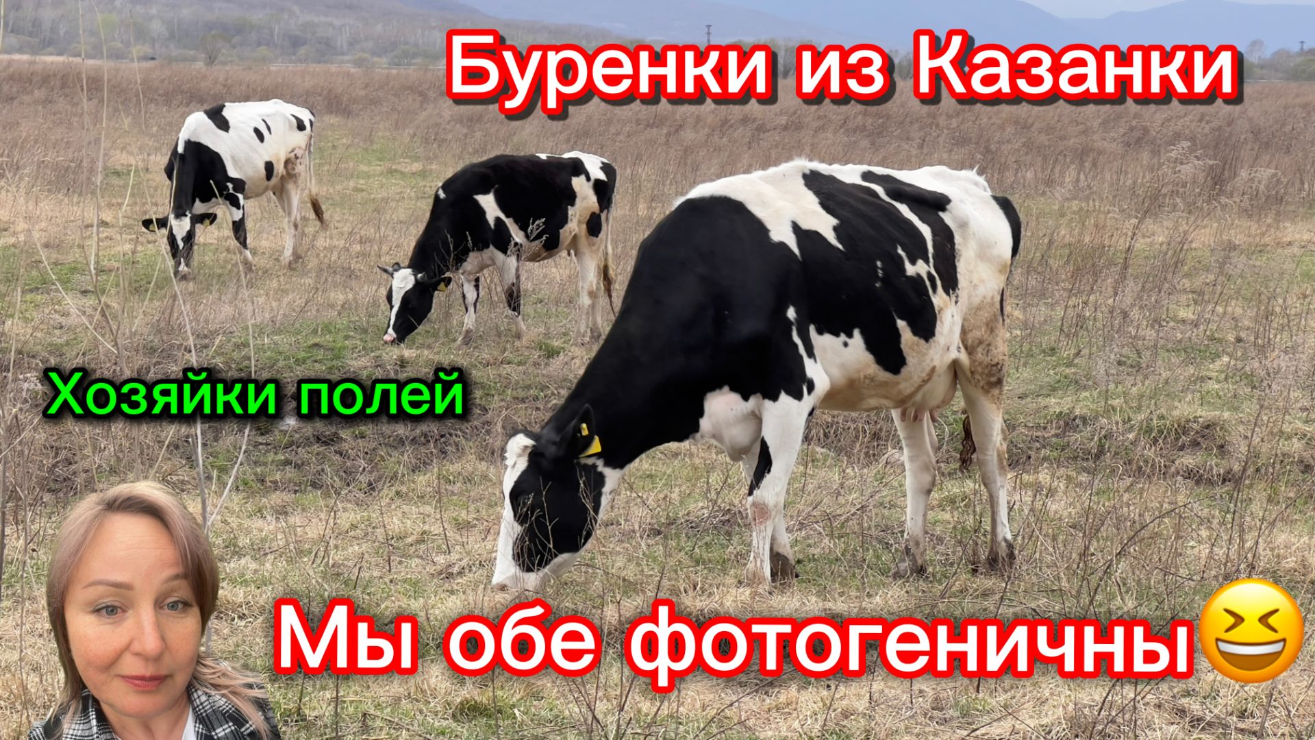 Буренки из Казанки/Мы обе фотогеничны/Священное животное, правда только в Индии/хозяйка полей/