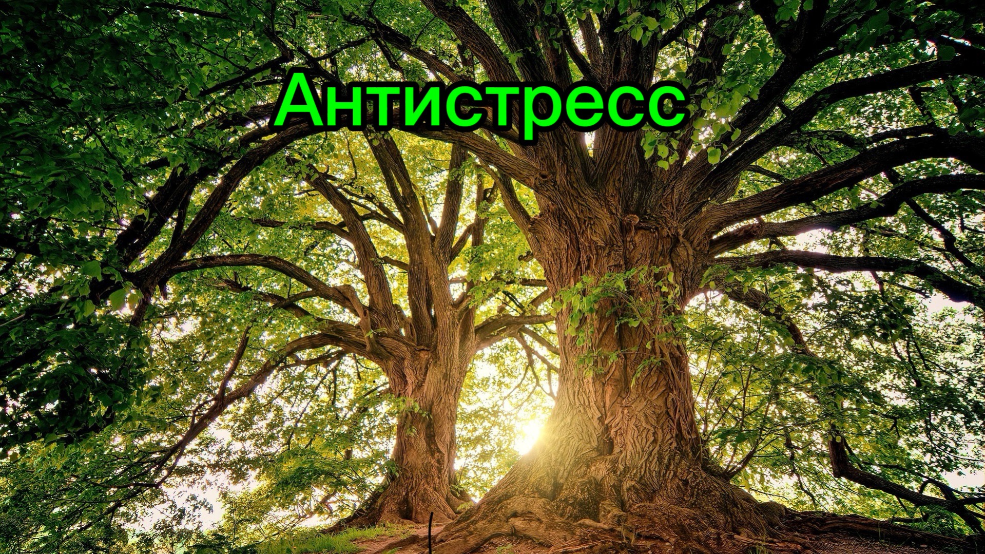 ‘’Серия: Антистресс после работы’’