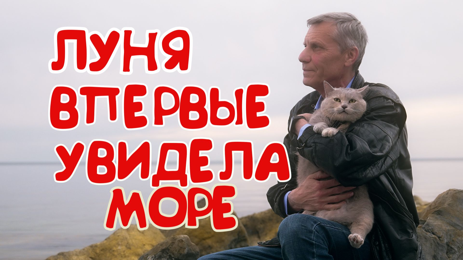 ПРИЕХАЛ СО СВОЕЙ КОШКОЙ,ЛУНЕЙ,НА МОРЕ КОТОРОЕ ОНА УВИДЕЛА ВПЕРВЫЕ.😊