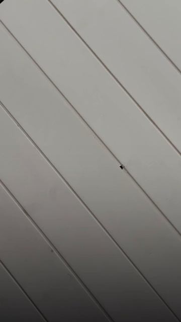 😱 ТРЕЩИНЫ В КЛЕЕНОМ БРУСЕ? ЭТО НОРМА! ВОТ ЧТО ДЕЛАТЬ