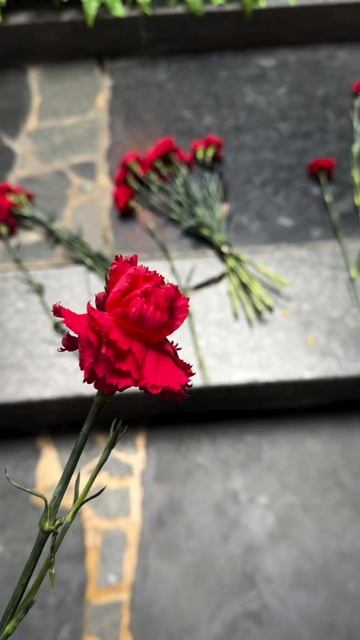 Мы помним, мы гордимся!