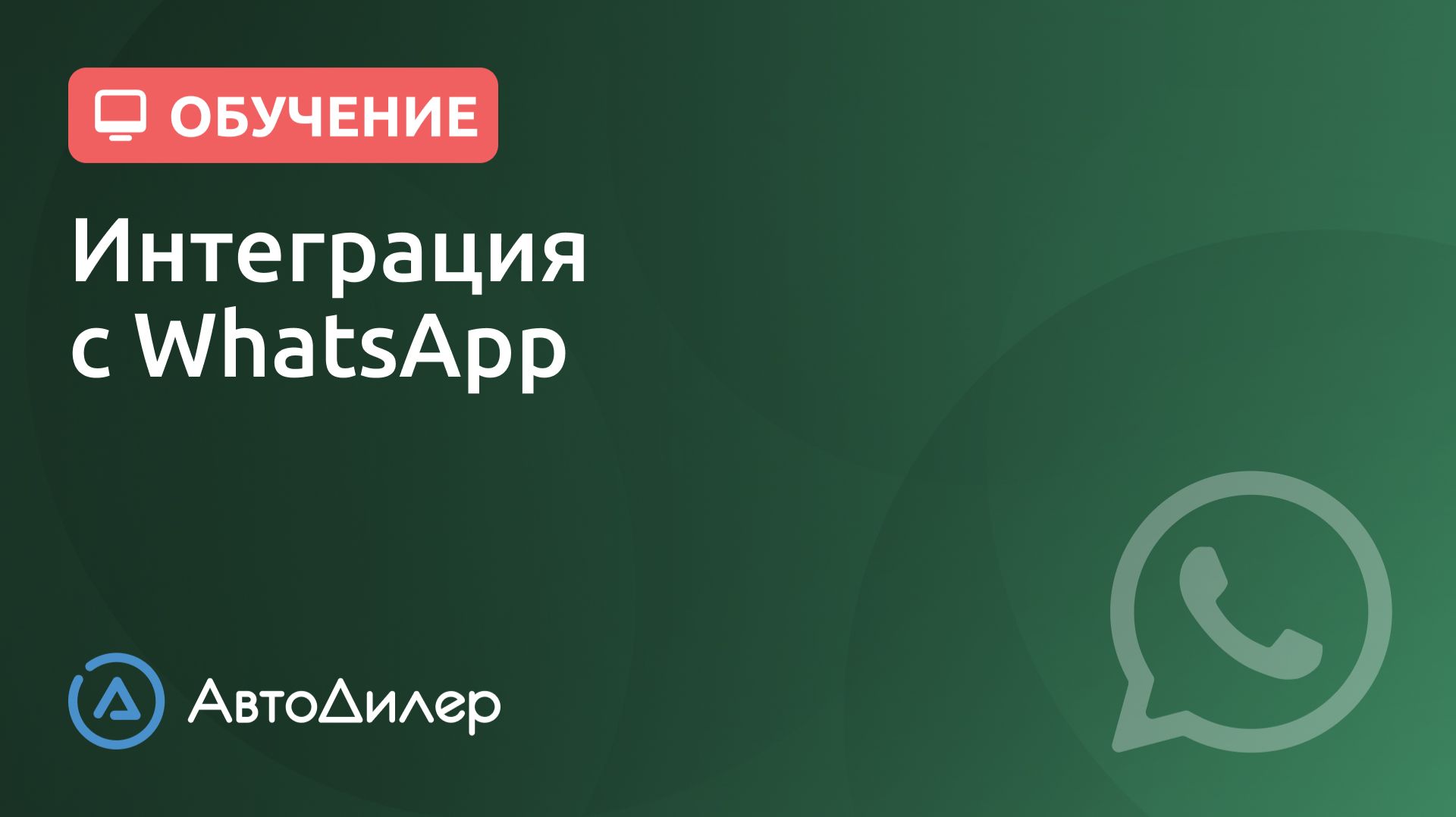 Интеграция с WhatsApp. АвтоДилер – Программа для автосервиса и СТО.