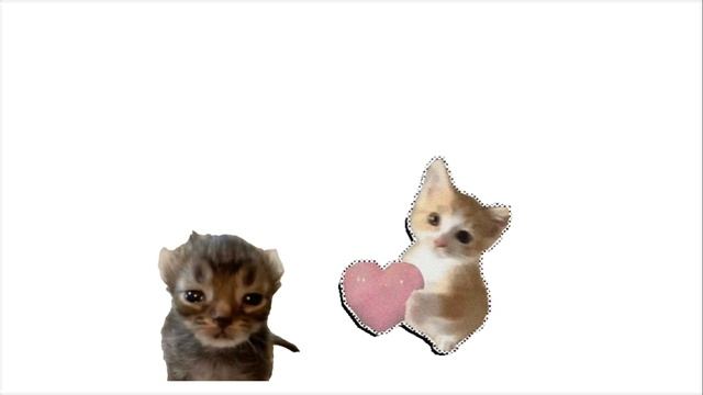 котяры помощник серия 9 сезон 1