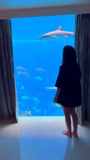 Ну ни хрена себе....дача!!!  #дача #дом #вилла #коттедж #наморе #море #океан #озеро #пруд #река#рыбы