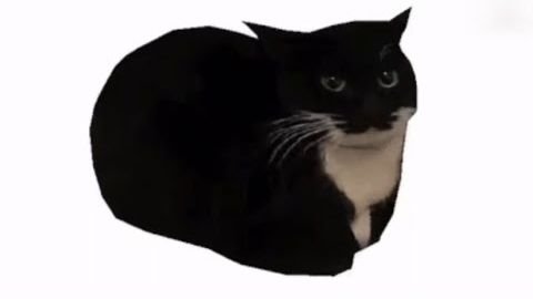 КОШКА мем оригинал 1 час