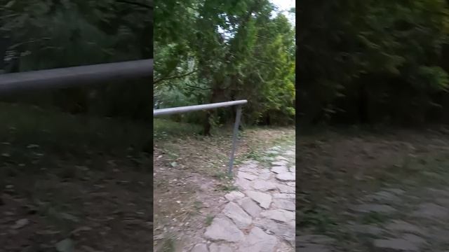 Прогулка по санаторию Шексна