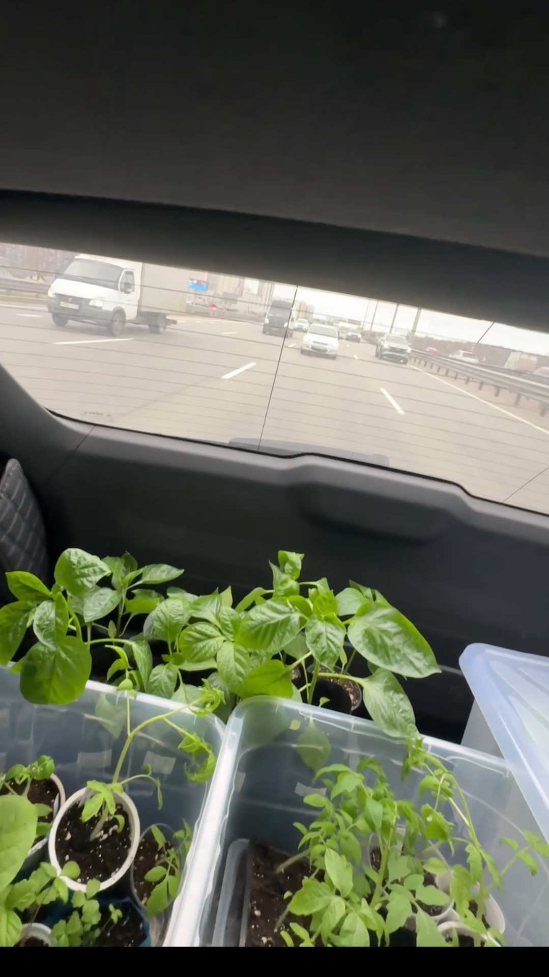 Везем рассаду на двух машинах 🫣🚨🚘🚘🚨