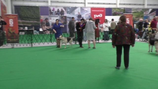 Сравнение на ЛС