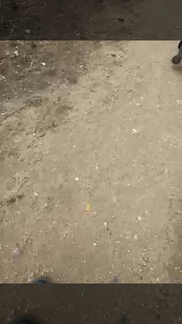 Идём на стадион 🏟️