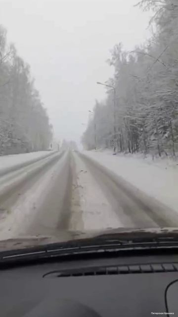 В Ленобласти заметает дороги, в ГАИ просят водителей не выезжать на летней резине