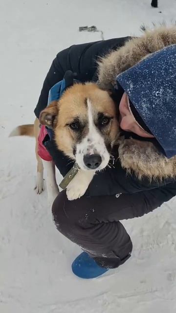 Джесси ❤🩹