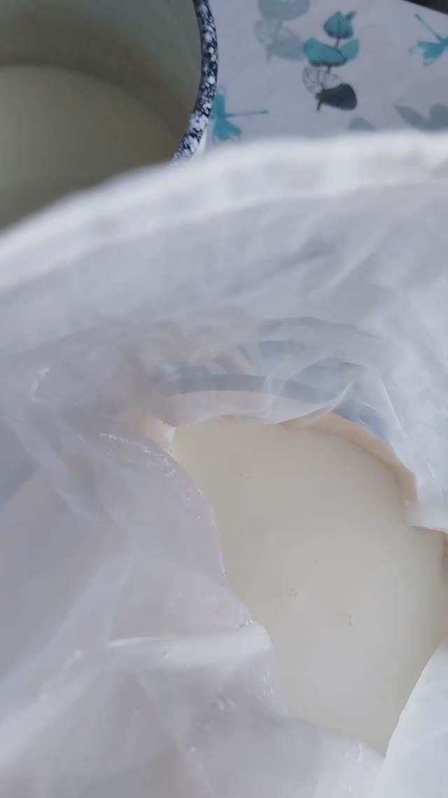 творог от кефирного гриба. будет ещё видео