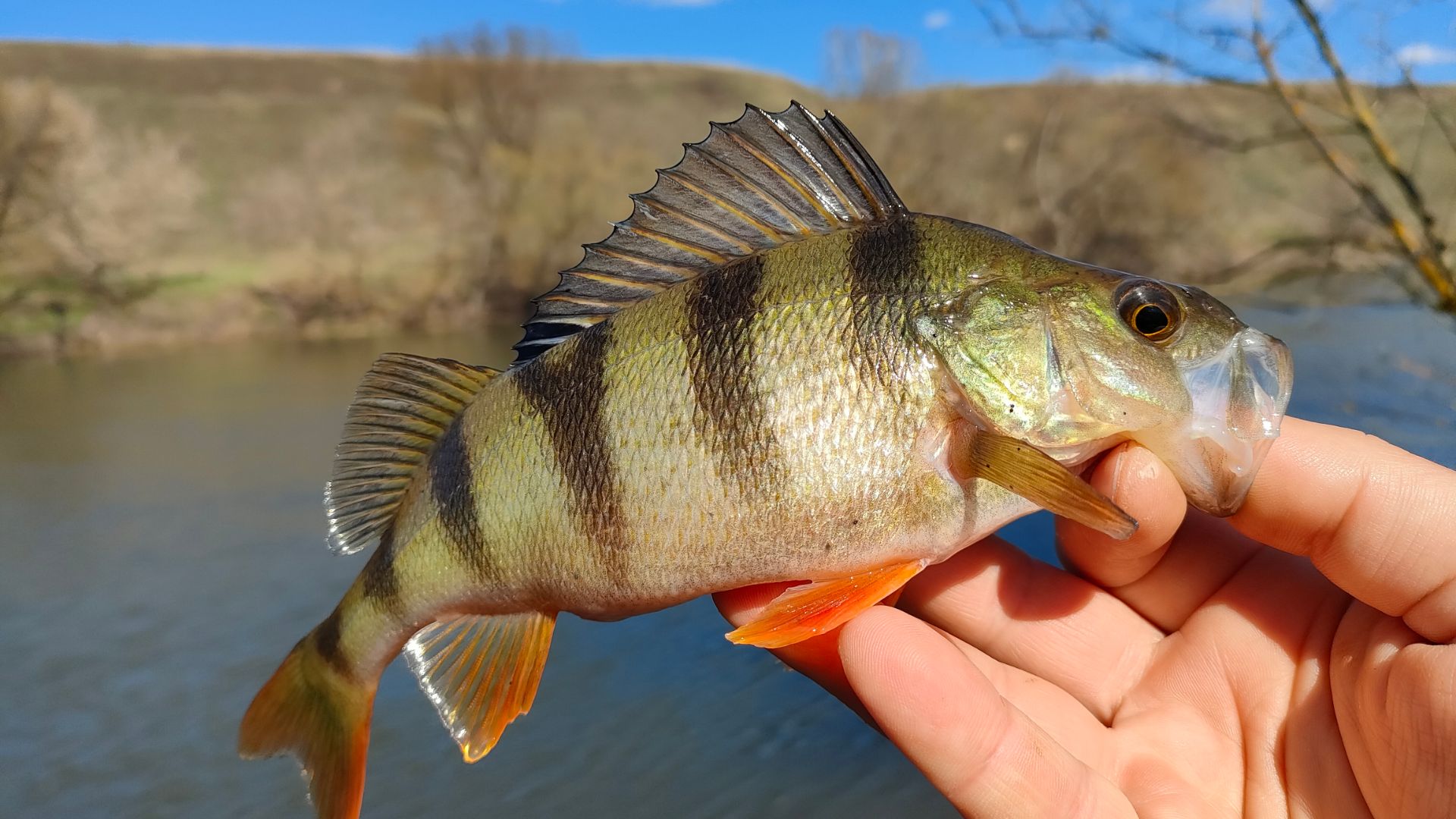 Ультралайт в апреле. Микроджиг после паводка.