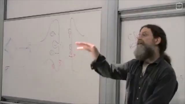Биология поведения человека： Лекция #13. Неврология и эндокринология [Роберт Сапольски, 2010]