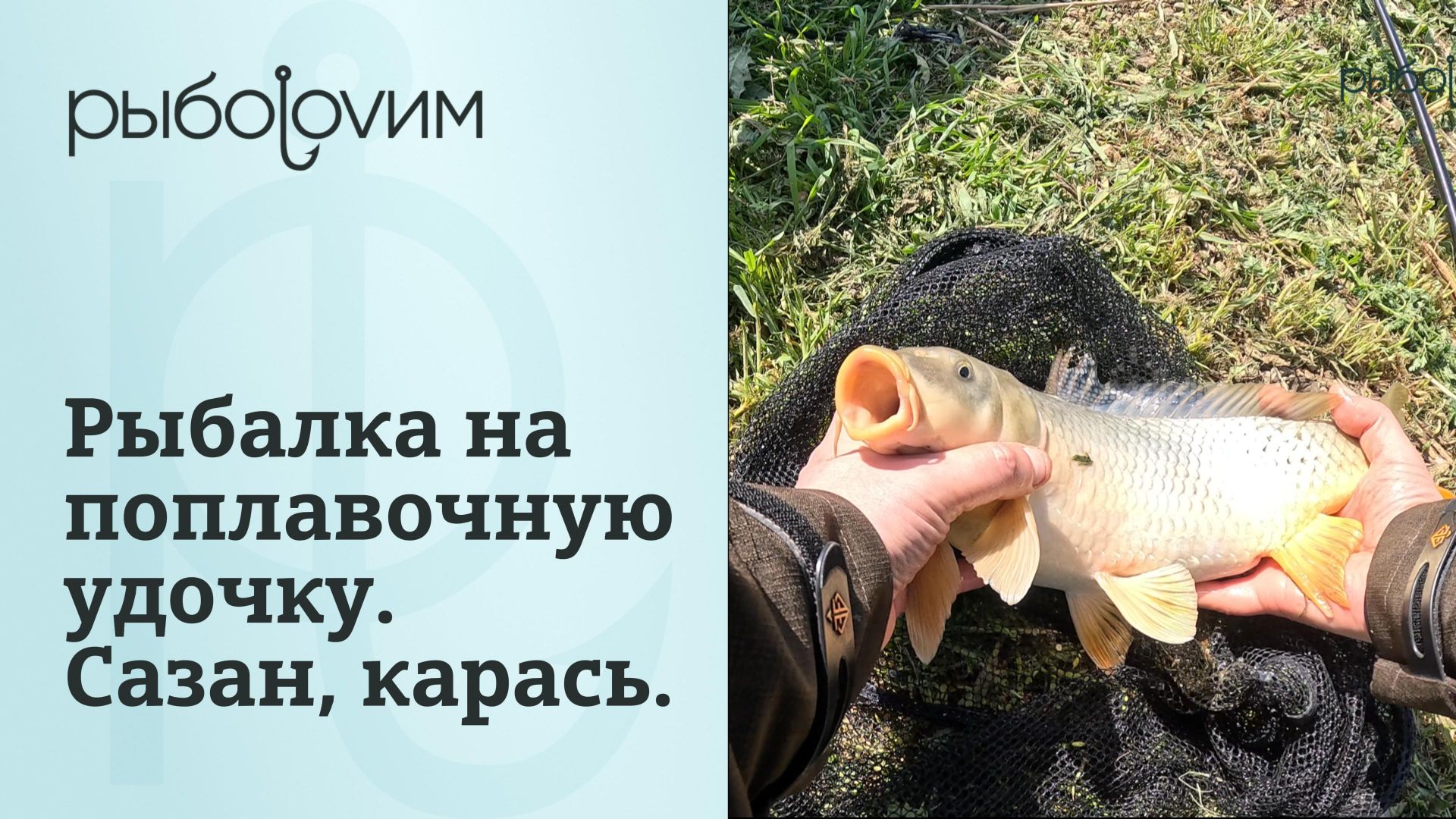 Рыбалка на карася и сазана на поплавочную удочку весной 2026 года.
