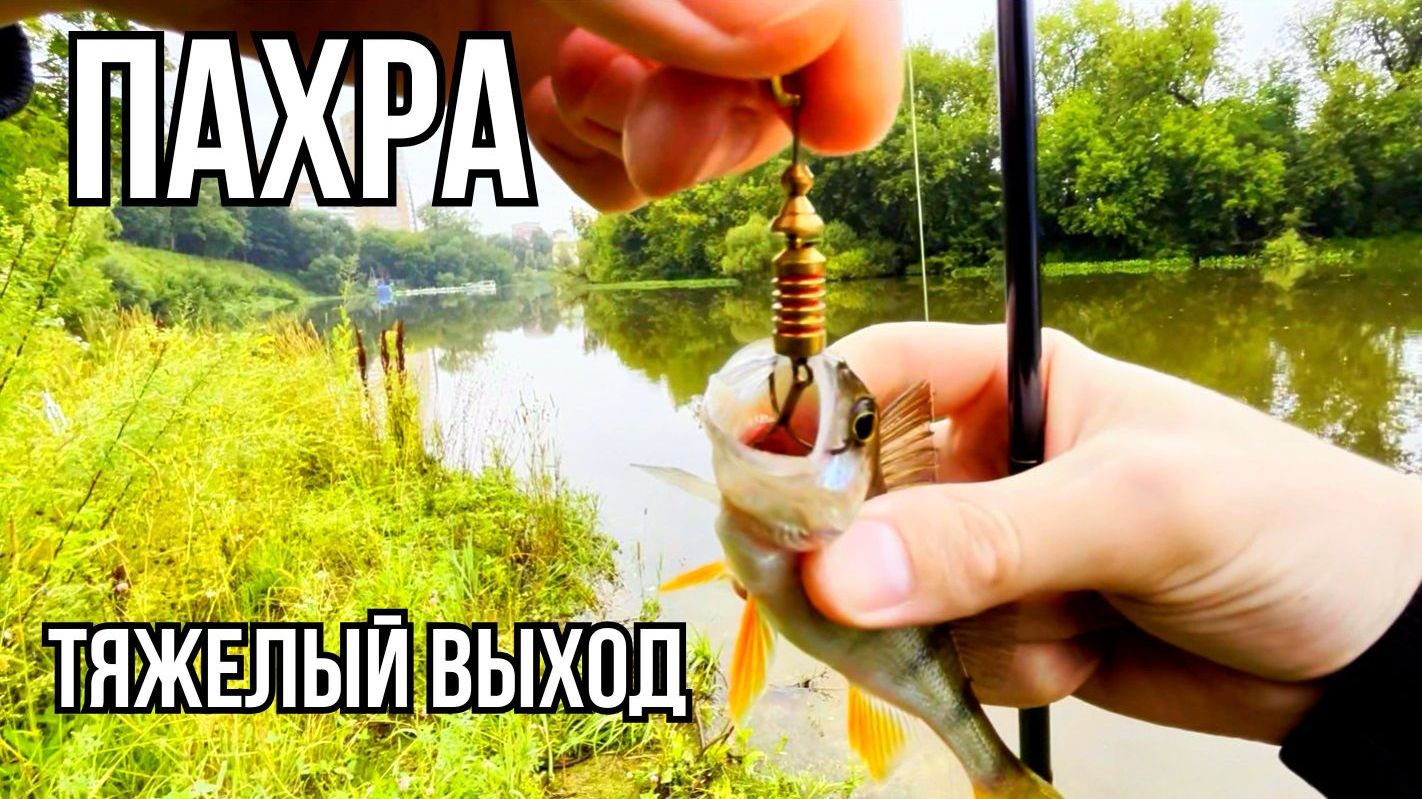 Рыбалка на Пахре. Тяжелый выход с тейлспиннерами и вертушками