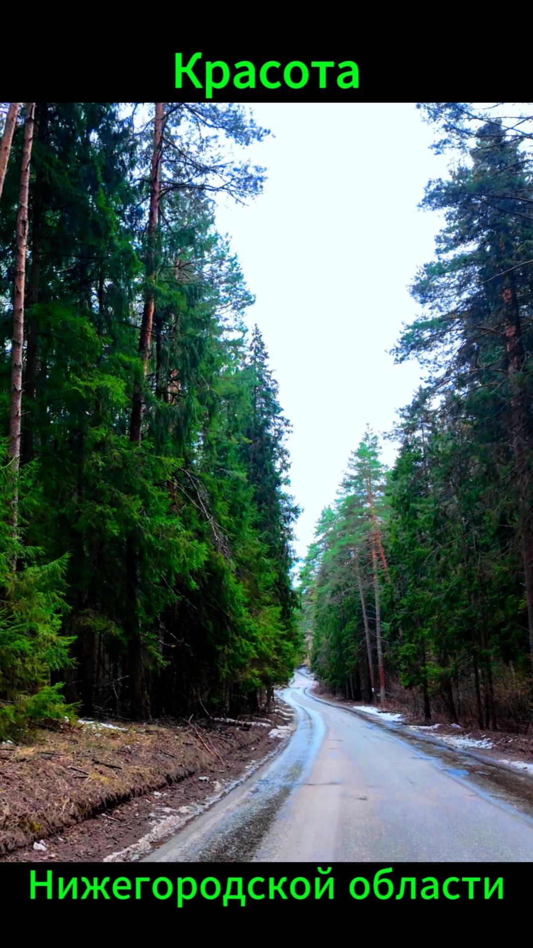 Красота природы. Нижегородская область