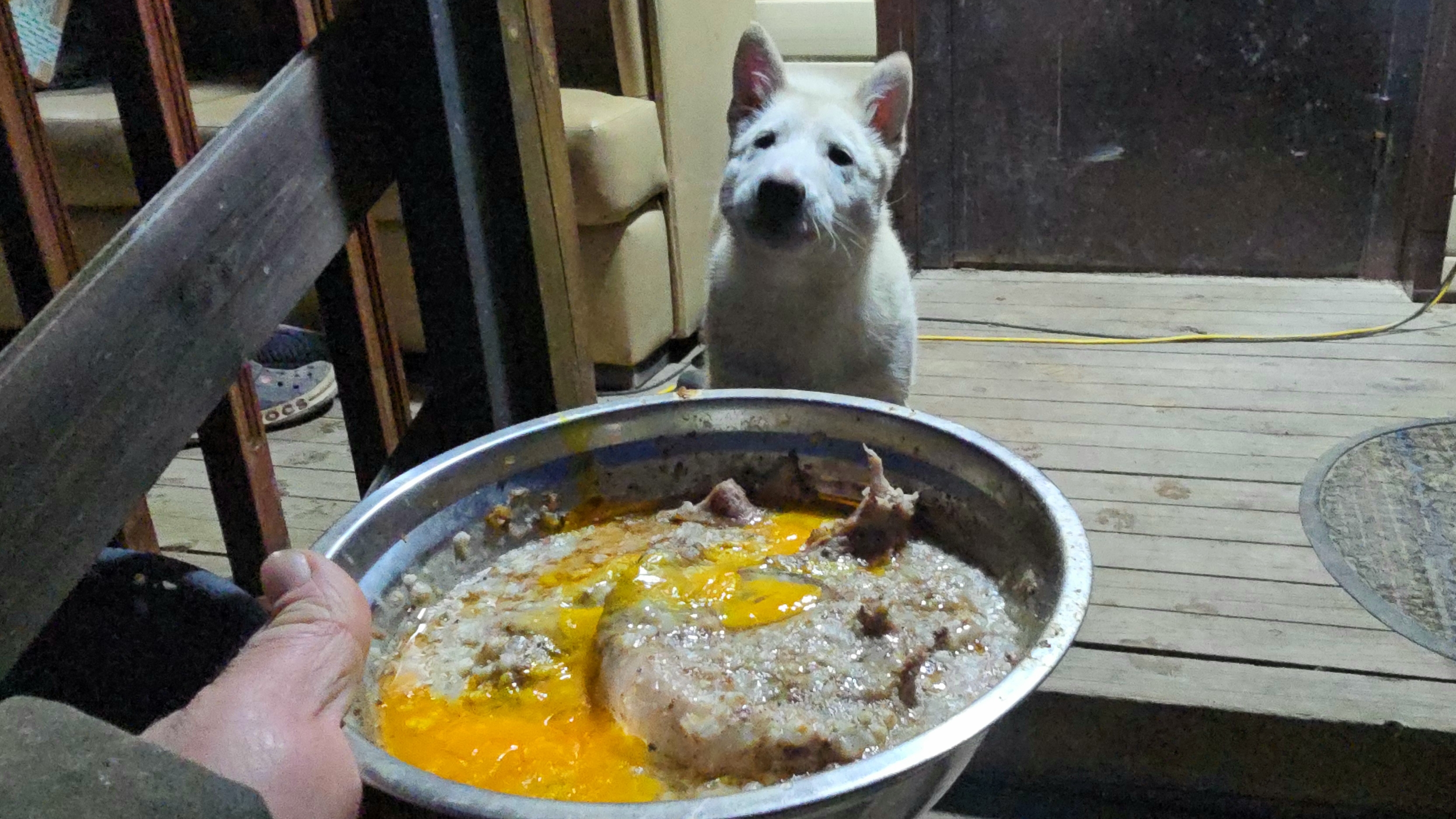 Ужин по темноте