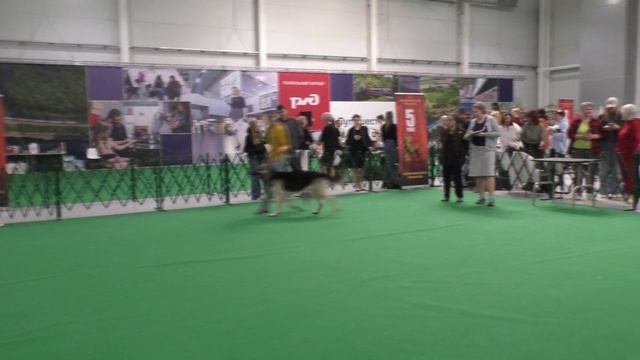 Моншер Вирсаль Чейз