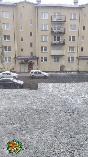 Опять зима..