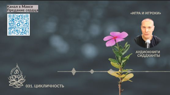 Игра и Игроки. 031. Цикличность. Аудиокниги Сиддханты (Вячеслава Чернина)
