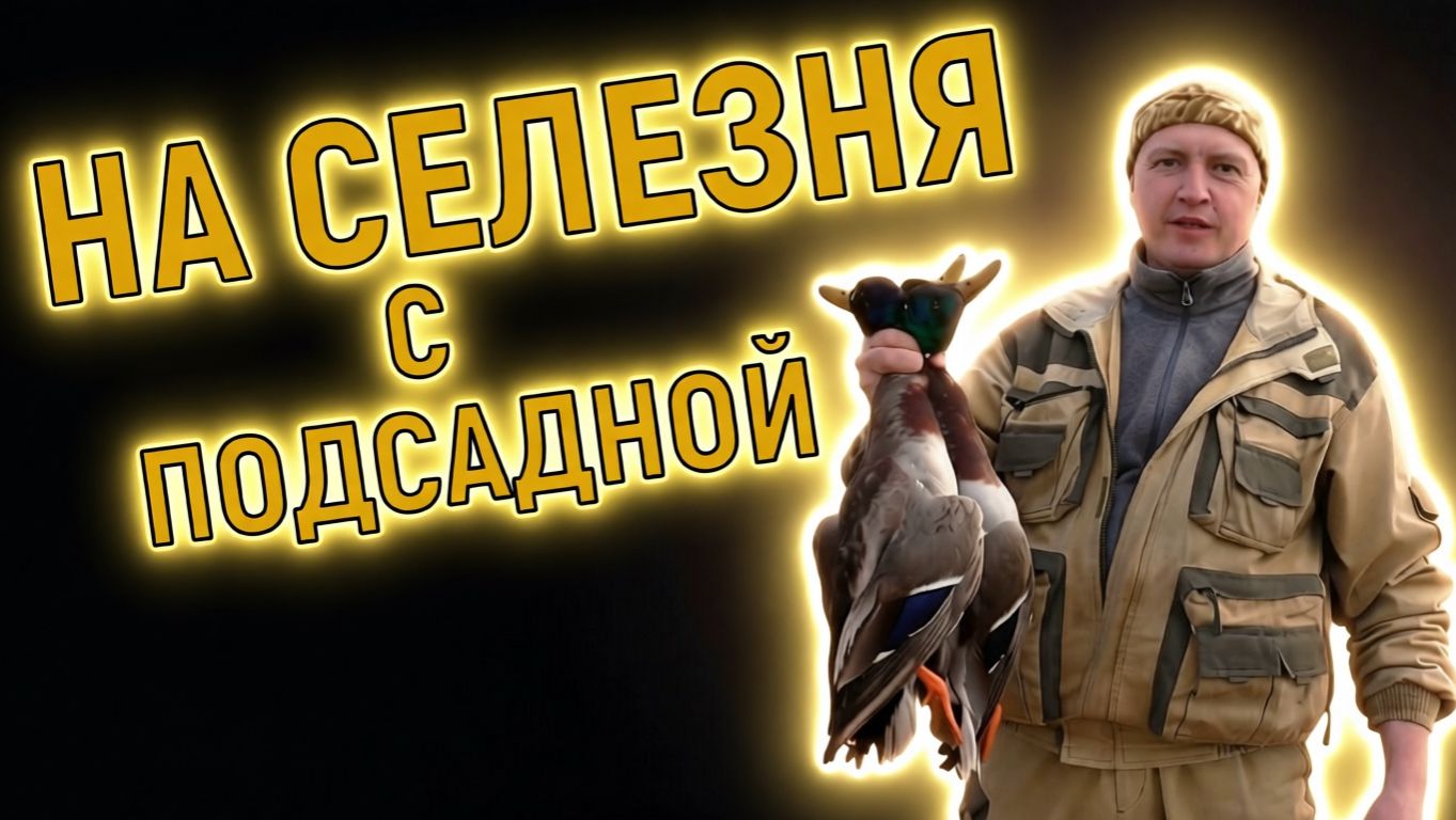 На селезня с подсадной / Курковка ТОЗ-63 / Выстрел по селезню