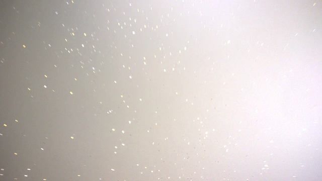 Полы для школы