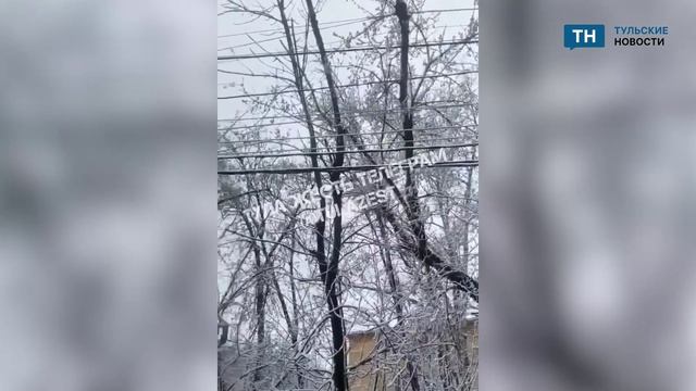 В Туле на улицах Седова и Демонстрации под тяжестью снега упали деревья
