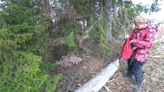 В лес за крапивой. Пермская природа. 27 апр 2026