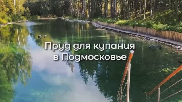 Пруд для купания в Подмосковье | EcoPond