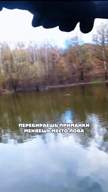 #рыбалка #fishing #природа #красиво #песня #жизнь