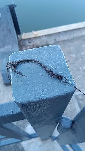 Рыбалка, Москва река, один день в Москве, Серебряный Бор, см описание это предложение оказания услуг