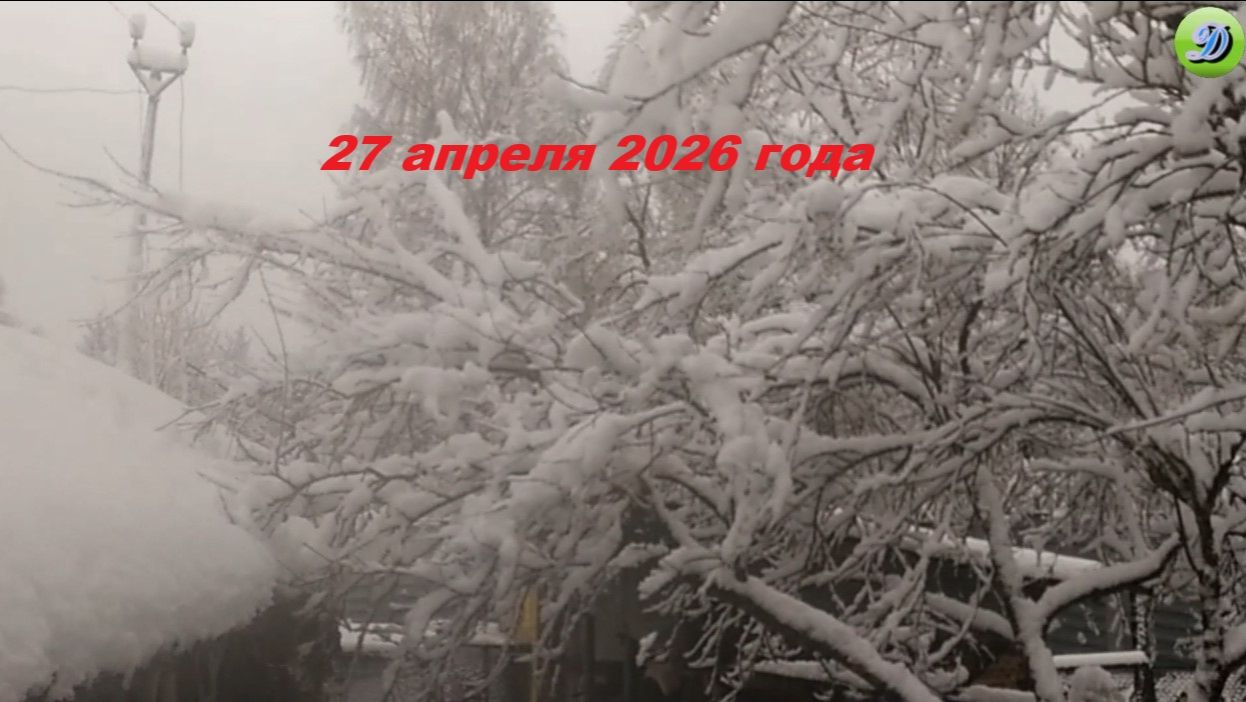 27 апреля 2026 года