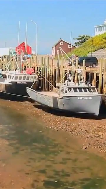 Приливы и отливы