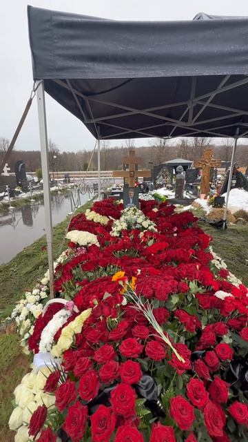 Могила Алексея Пиманова утопает в цветах и венках / похороны Алексея Пиманова