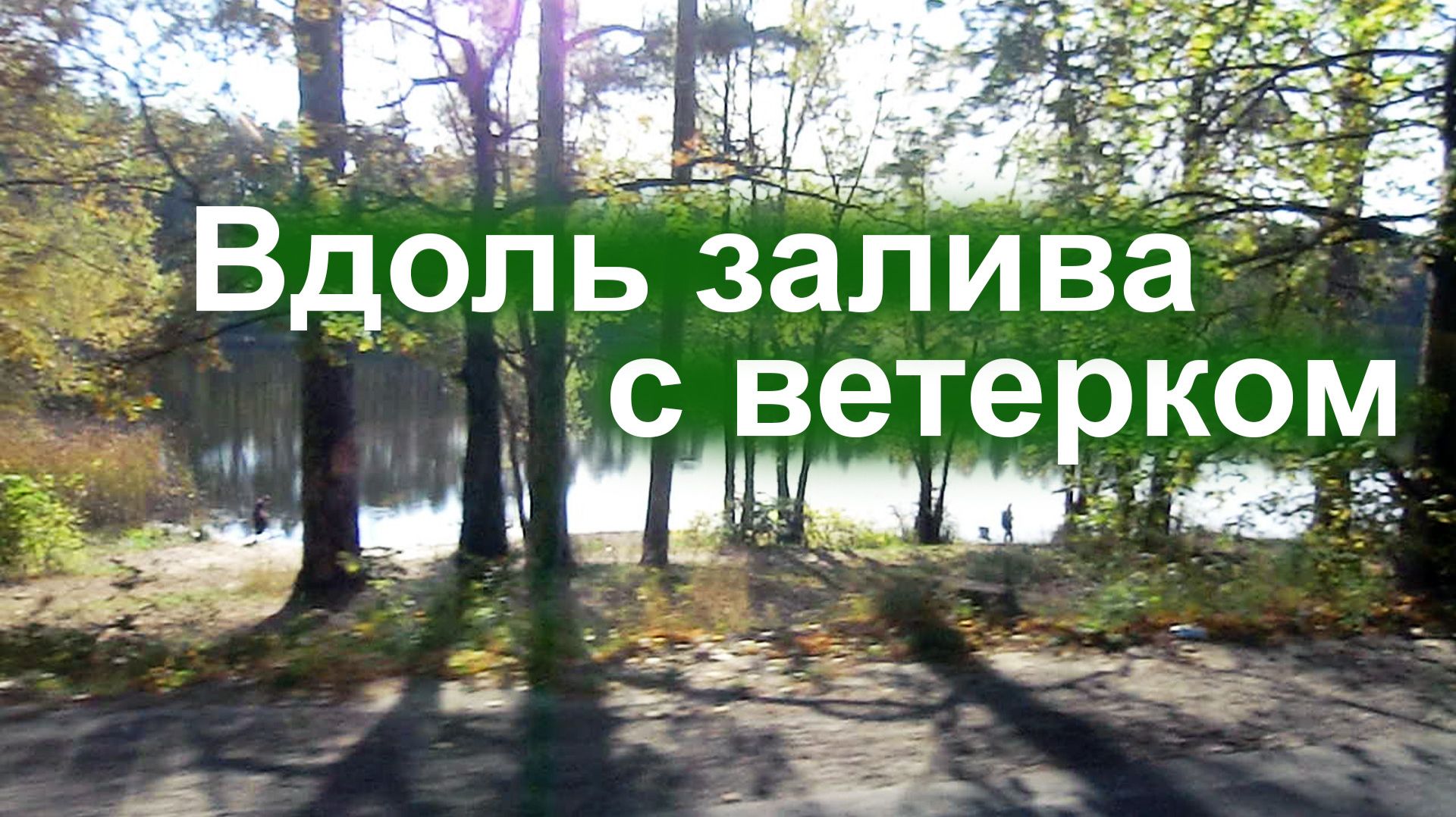 Вдоль залива с ветерком