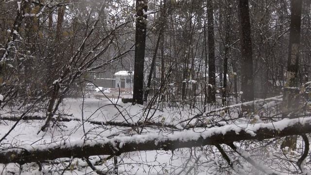 Сильный снегопад накрыл Подмосковье