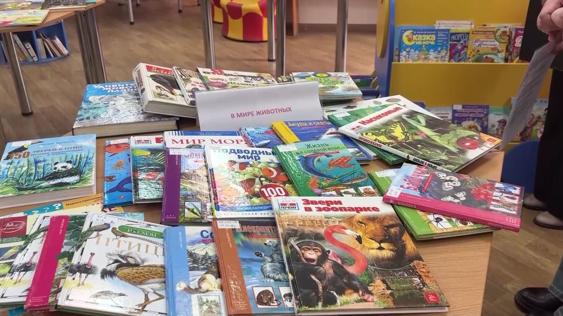 Как библиотекари Советского района учат подрастающее поколение беречь природу