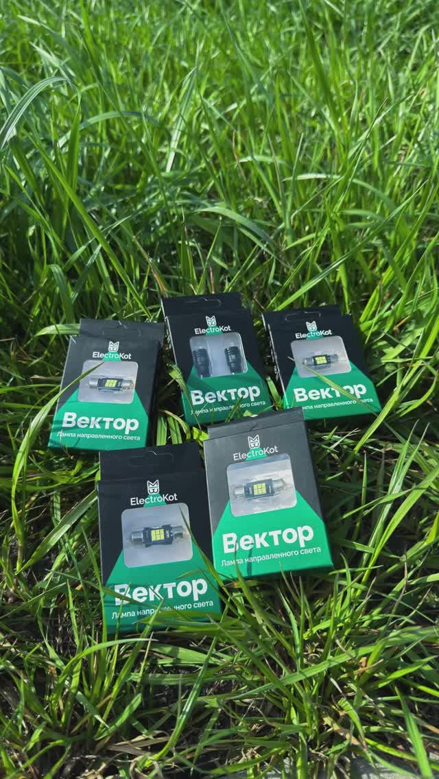 Замена ламп подсветки салона в Шевроле Ниве