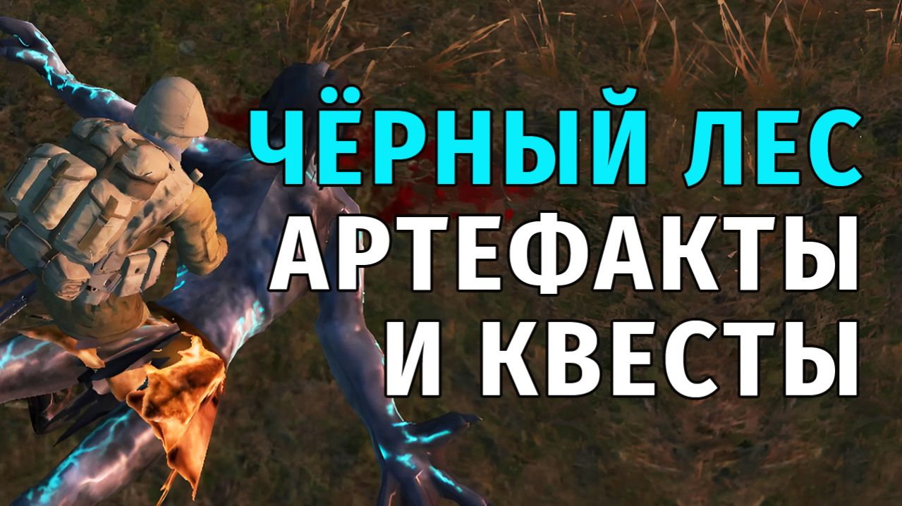 149. Чёрный Лес: Артефакты и Квесты. Stay Out | RU2