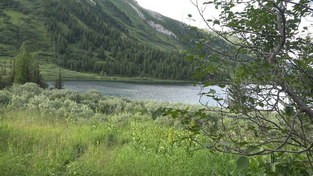 Куролесево. НАИВные люди. Часть 7.