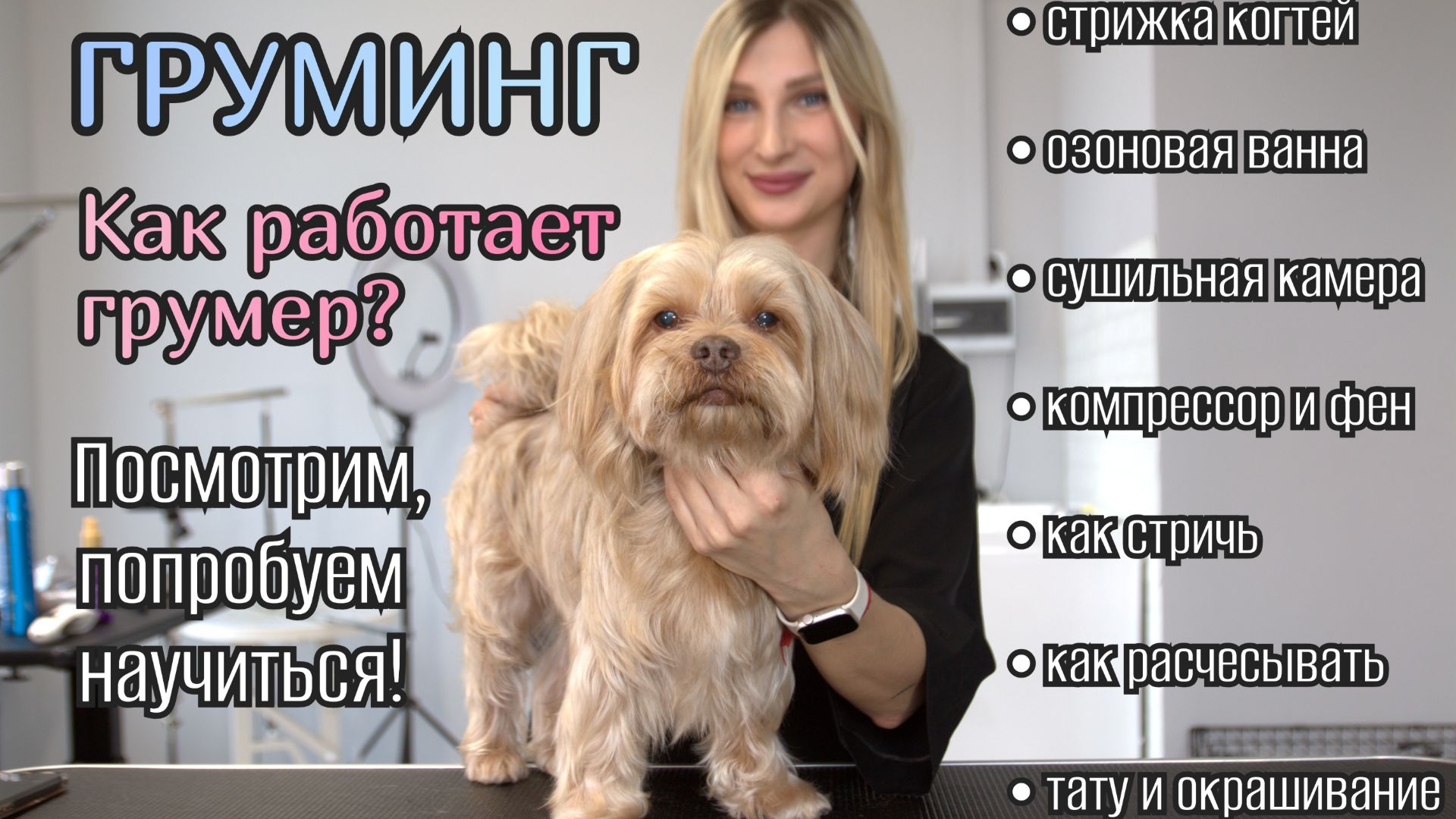 ✂ Груминг. Обзор работы мастера. Что внутри груминг-салона? Обучение грумингу. Тонкости работы.