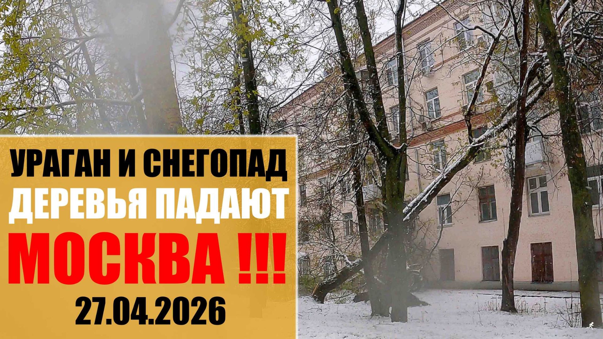 Ураган и снегопад в Москве | Поваленные деревья | Парк Коломенское закрыт! 27.04.2026