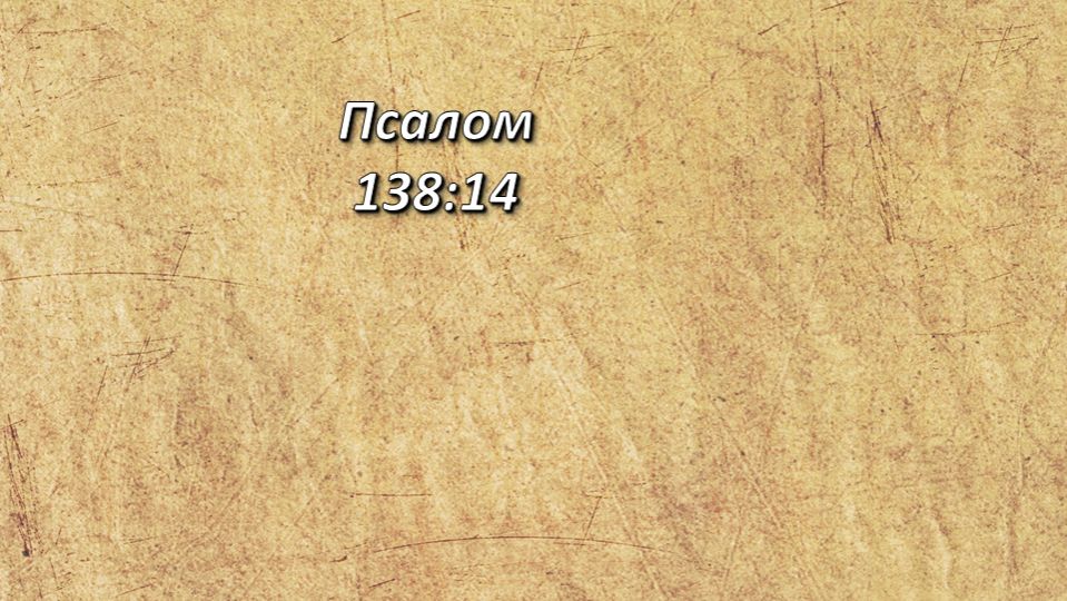 Стих дня. Псалом, 138;14.
