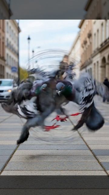 ОН РАЗВАЛИЛСЯ НА ЧАСТИ 😱