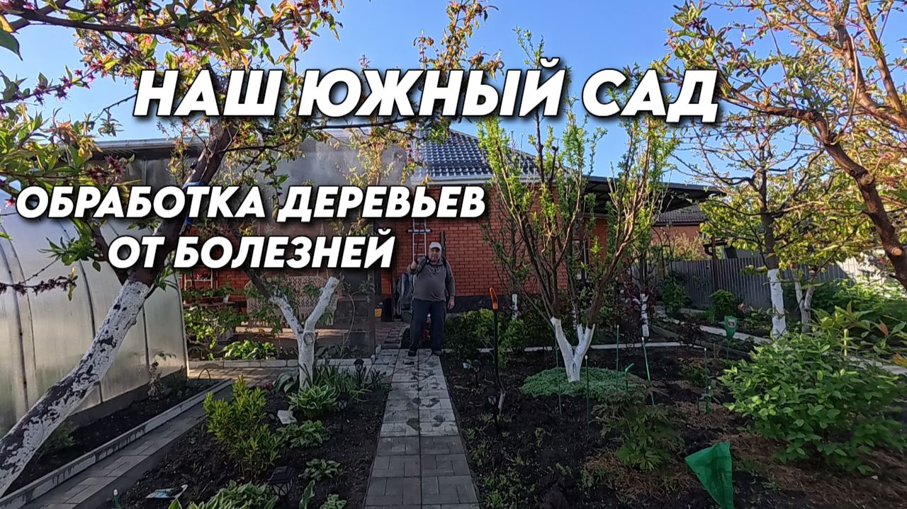 1134 Жизнь на юге России/Обработка сада от болезней/Краснодарский край посёлок Родники