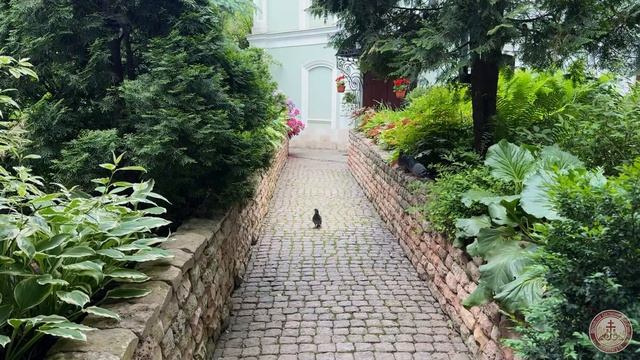 "У БОГА ВСЕ ЖИВЫ." Рассказ о. Игоря Сильченкова.