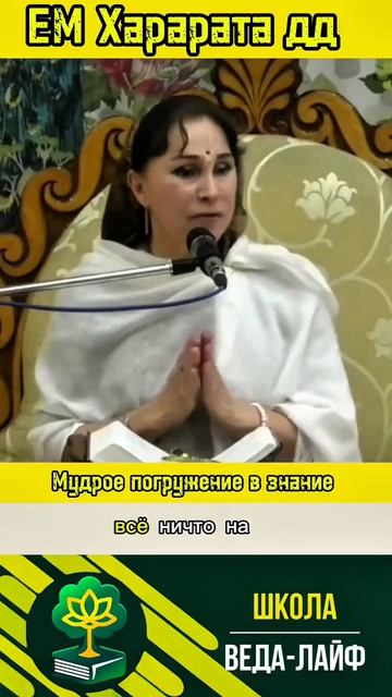 Мудрое погружение в знание