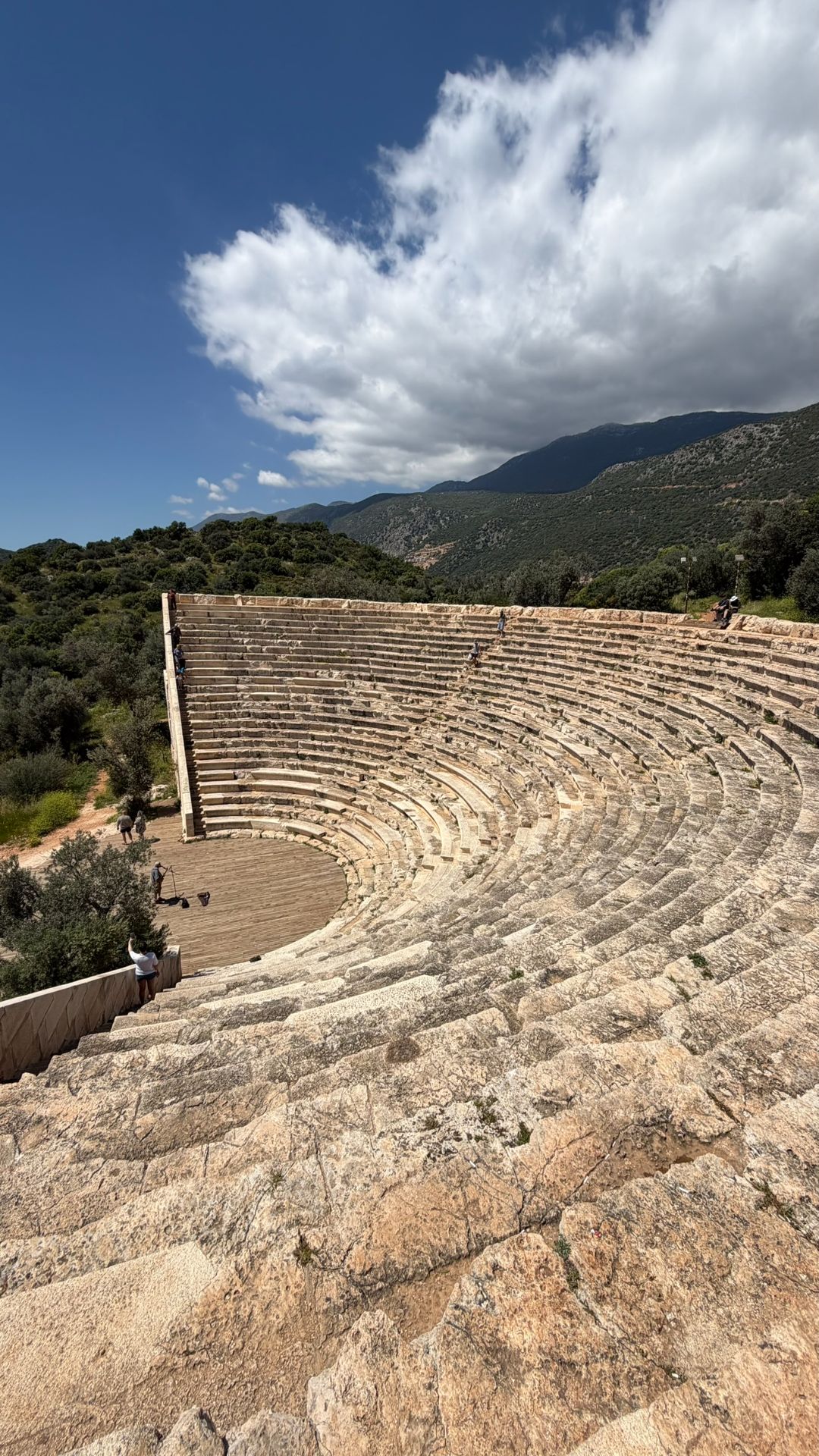 Антифеллос. Каш.